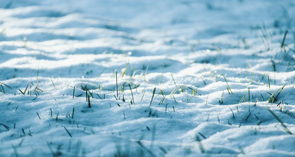 Winter Lawn Care Tips - How to Prepare for the Season Change